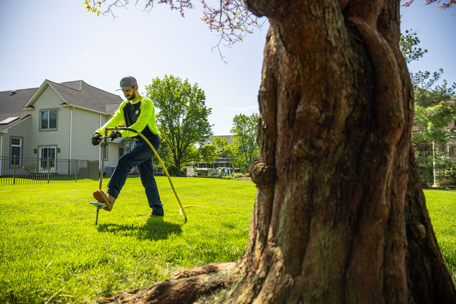 Tree Fertilization: Costs, Methods, and the Benefits of Professional ...